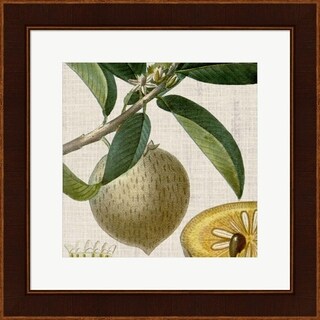 Vision Studio 'Cropped Turpin Tropicals V' Framed Art - Bed Bath ...