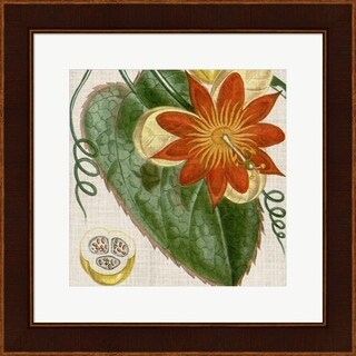 Vision Studio 'Cropped Turpin Tropicals I' Framed Art - Bed Bath ...