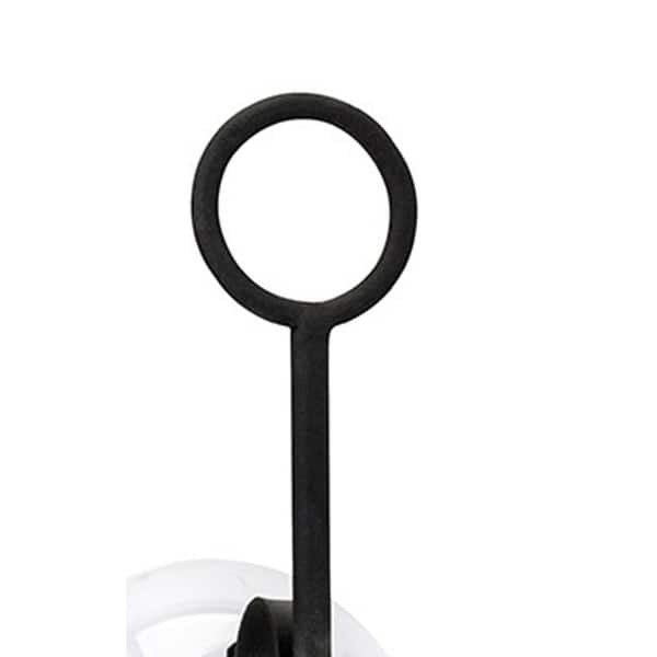 Designer Iron Planter with Four Glass Orb Containers, Black and Clear ...