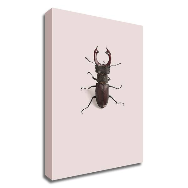 "Lucanus cervus" by Incado, Print on Canvas, Ready to Hang - Bed Bath ...