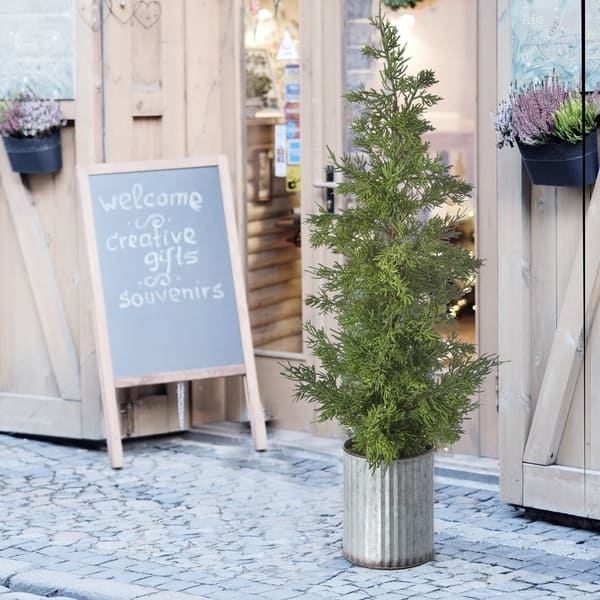 Mini Cedar Tree in Galvanized Pot 26" - 26-inch - Bed Bath & Beyond ...