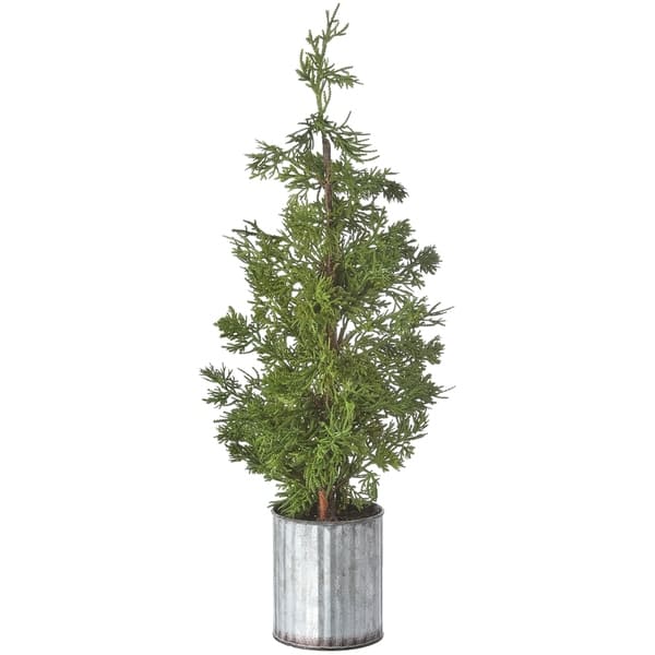 Mini Cedar Tree in Galvanized Pot 26" - 26-inch - On Sale - Bed Bath ...