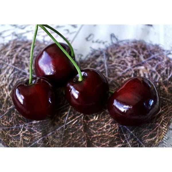 50 Piece Fake Fruit Cherries, Artificial Lifelike Fruit for Still Life ...