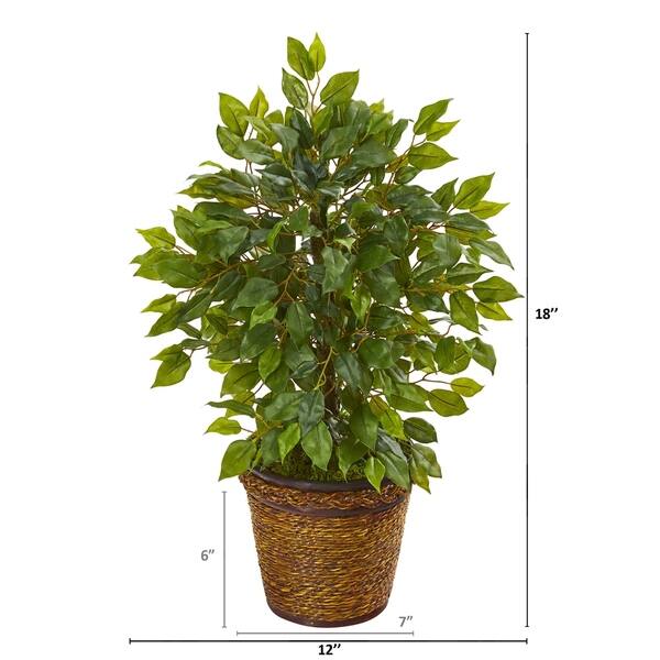 18" Mini Ficus Artificial Tree in Basket - Bed Bath & Beyond - 29904703
