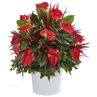 29" Mixed Anthurium Artificial Plant in White Tin Planter - Bed Bath ...