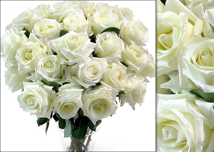 Bouquet of 100 White Roses (20 in. stem length) - Bed Bath & Beyond ...