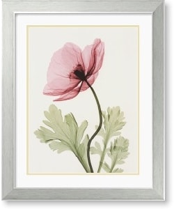 Steven N. Meyers Iceland Poppy II Framed Art Print - Bed Bath & Beyond ...