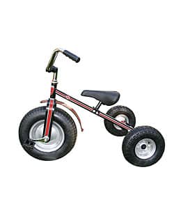 Pit Wheeler Trike with Pneumatic Tires - Bed Bath & Beyond - 2897051