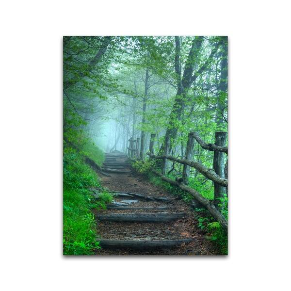 Colossal Images - Into the Mist, Canvas Wall Art - Bed Bath & Beyond ...
