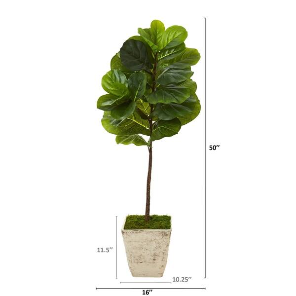 50" Fiddle Leaf Artificial Tree in Country White Planter (Real Touch ...