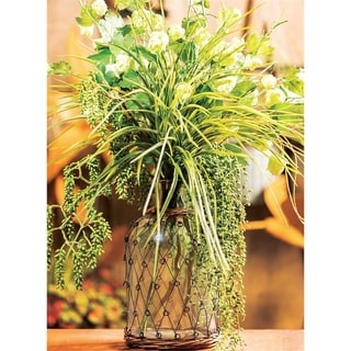 Sullivans String Of Pearls Vine - Bed Bath & Beyond - 30712844