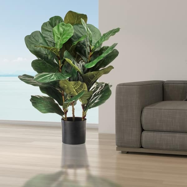 Potted Triple Mature Fiddle Leaf Plant 32" - Bed Bath & Beyond - 30774234