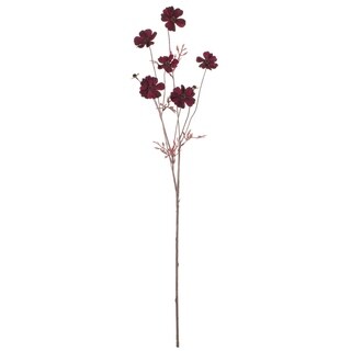 Sullivans Cosmos Spray - Bed Bath & Beyond - 30933495