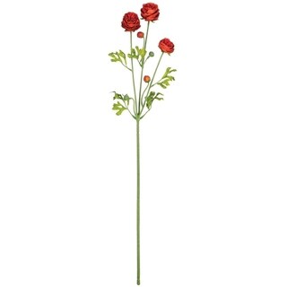 Sullivans Ranunculus Stem - Bed Bath & Beyond - 30933525