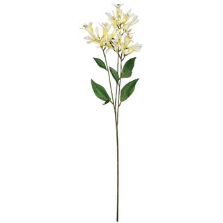 Sullivans Lonicera Stem - Bed Bath & Beyond - 30933680
