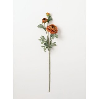 Sullivans Ranunculus Stem - Bed Bath & Beyond - 30933706