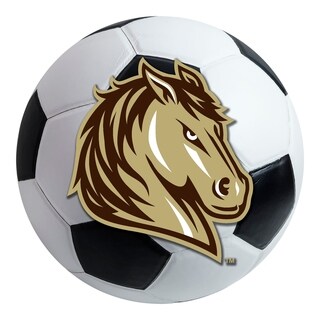 FANMATS Southwest Minnesota State University Soccer Ball Mat - Bed Bath ...