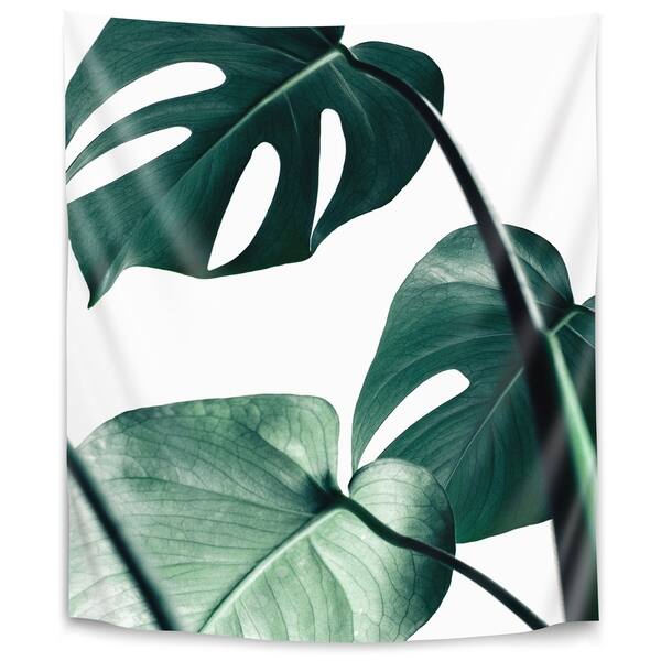 Monstera - Bed Bath & Beyond - 31025312