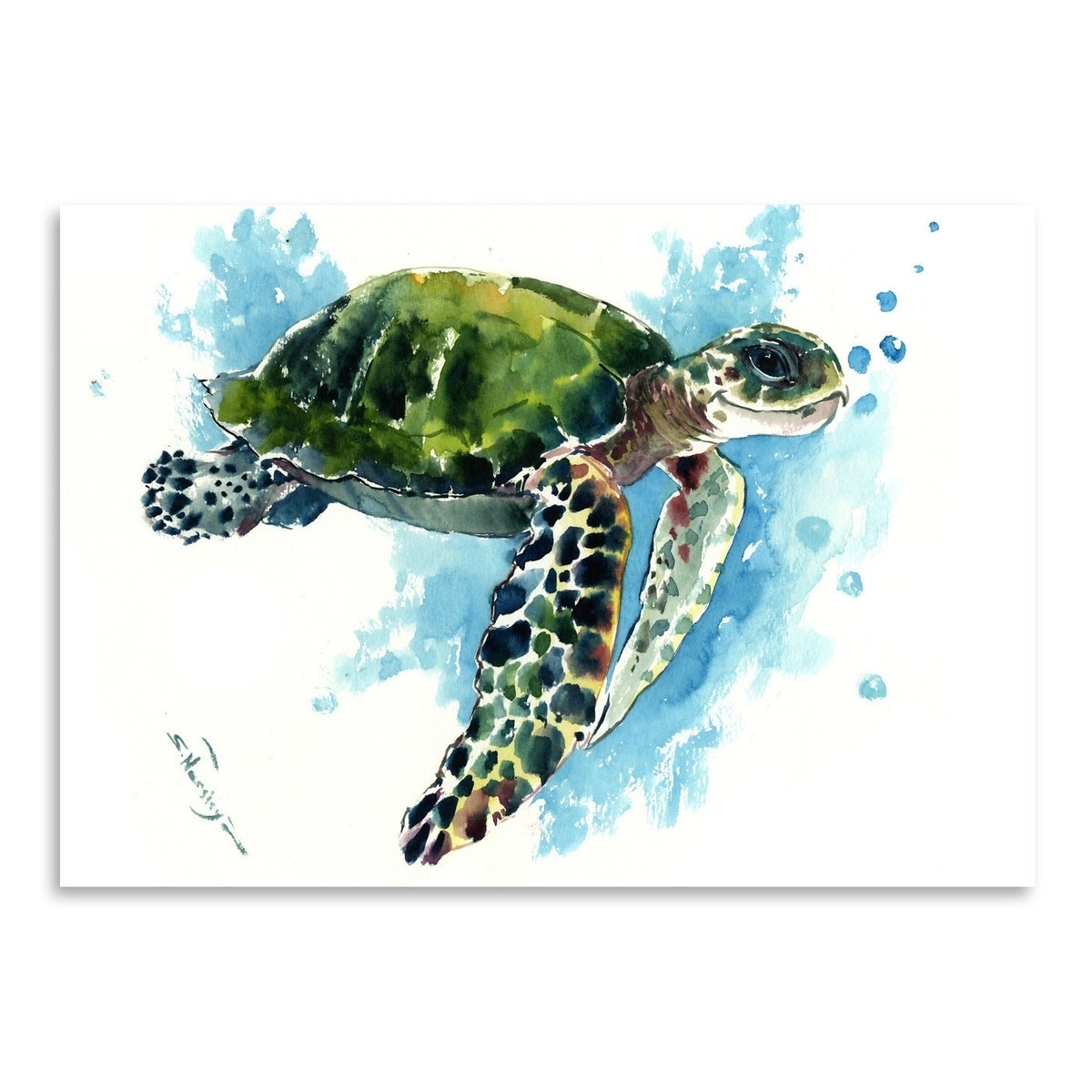 Turtle Bird Poster Art Print - Bed Bath & Beyond - 31035357