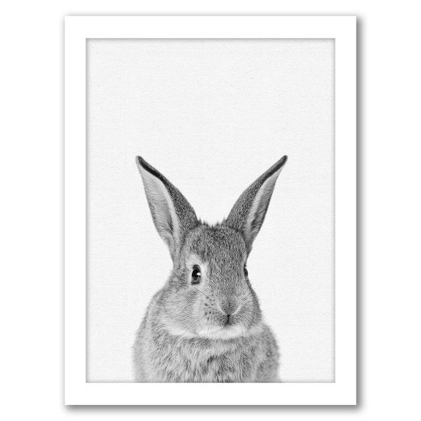 Bunny - Framed Print Wall Art - Bed Bath & Beyond - 31036651