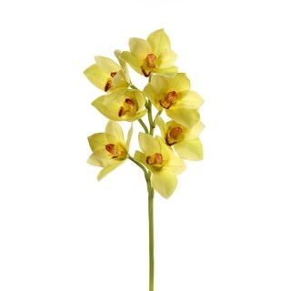 Natural Touch Cymbidium Spray X7 24 - Bed Bath & Beyond - 31053972