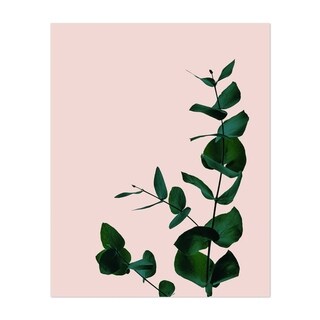 Floral Botanical Nature Photography Unframed Wall Art Print/Poster ...