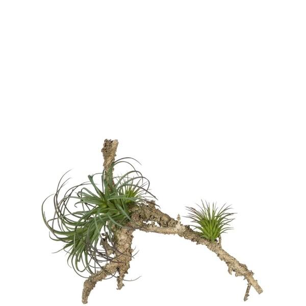 Sullivans Air Grass Plant - Green - Bed Bath & Beyond - 31113581