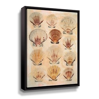 Clam Shell Collage by 0 Malek Gallery Wrapped Floater-framed Canvas ...