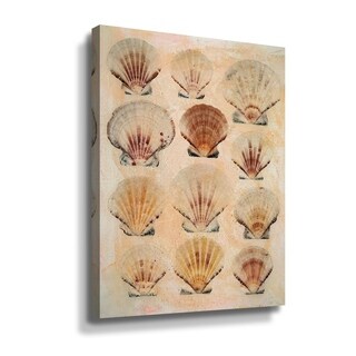 Clam Shell Collage by 0 Malek Gallery Wrapped Canvas - Bed Bath ...
