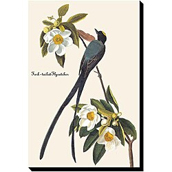 John James Audubon 'Fork Tail Fly Catcher' Canvas Art - Bed Bath ...