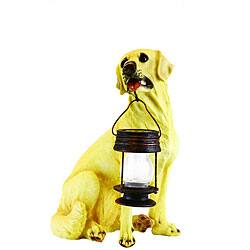 LED Solar Light Yellow Labrador Dog Lantern - Bed Bath & Beyond - 4433524
