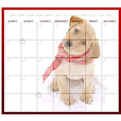 Puppy Jotz Calendar Set - Overstock - 4728263