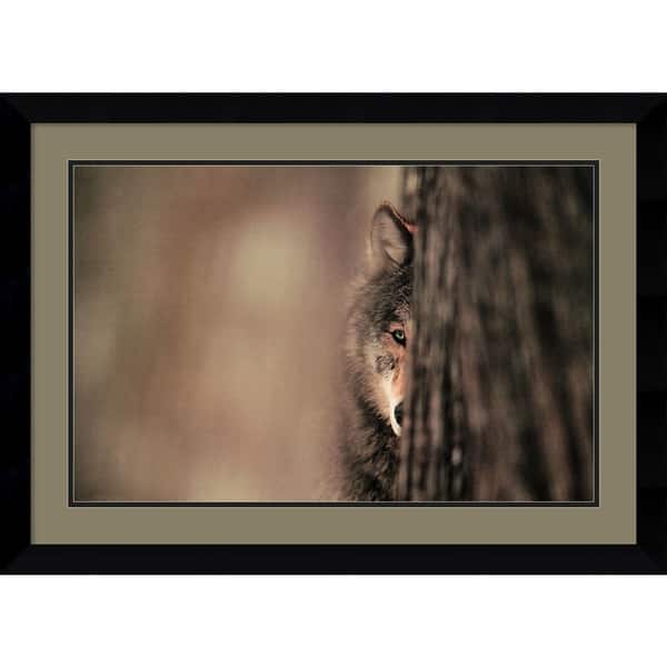 Jim Brandenburg 'Grey Wolf' Framed Art Print - Bed Bath & Beyond - 5261050