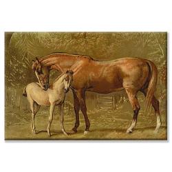 Samuel Sidney 'Thoroughbred Mare and Foal' Canvas Art - Bed Bath ...