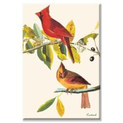 John James Audubon 'Cardinal' Canvas Art - Bed Bath & Beyond - 5963778