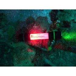 Lazerbrite Multi-Lux Red and Blue Flashlight - Bed Bath & Beyond - 6159656