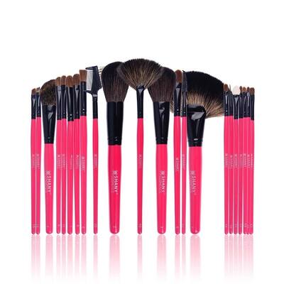 SHANY NY Collection ZGF Goat/ Sable/ Squirrel Hair 22-piece Pro Brush Set with Black Pouch ...