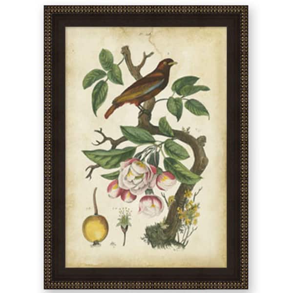Therese Guerin 'Bird in Nature IV' Wood Framed Art - Bed Bath & Beyond ...