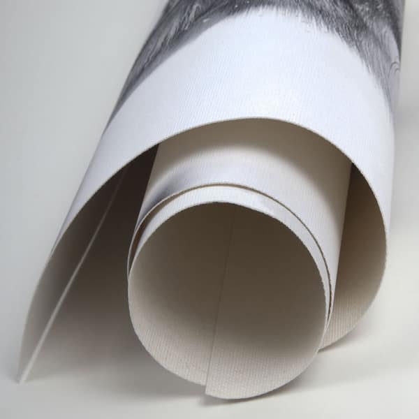 Henricus Hondius 'A New and Accurate Map of the World' Unwrapped Canvas ...