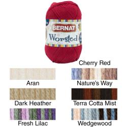 Bernat Big Ball Worsted Solid/Ombre Yarn - Bed Bath & Beyond - 6803065