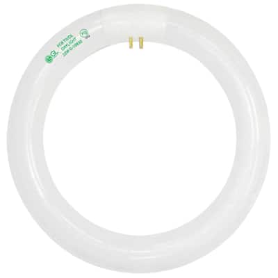 Goodlite 22W T9 Circline 8-inch Fluorescent Light Bulbs (12 pack) - Bed ...