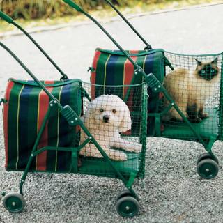 Kittywalk Original Stripe Pet Stroller - Bed Bath & Beyond - 8347985