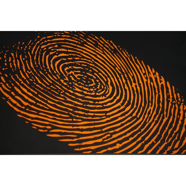 'Fingerprint' Modern Abstract Canvas Print Wall Art - Bed Bath & Beyond ...