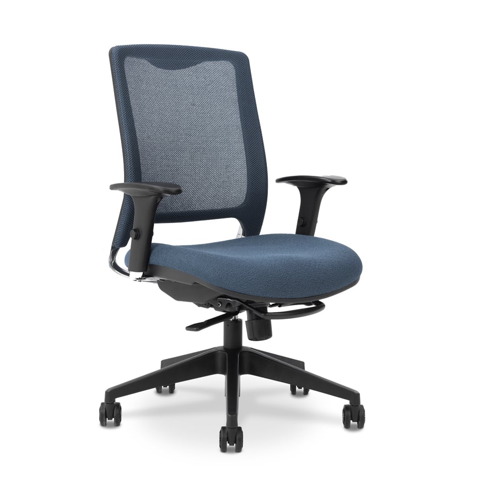 Ergocraft GLO 9.5 Task Chair with Synchro-tilt Tension Control ...