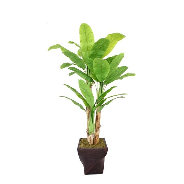 82-inch Tall Banana Tree in Fiberstone Planter - 81.5" - Bed Bath ...