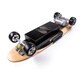 ZBoard Classic Model Electric Skateboard - Bed Bath & Beyond - 8654385