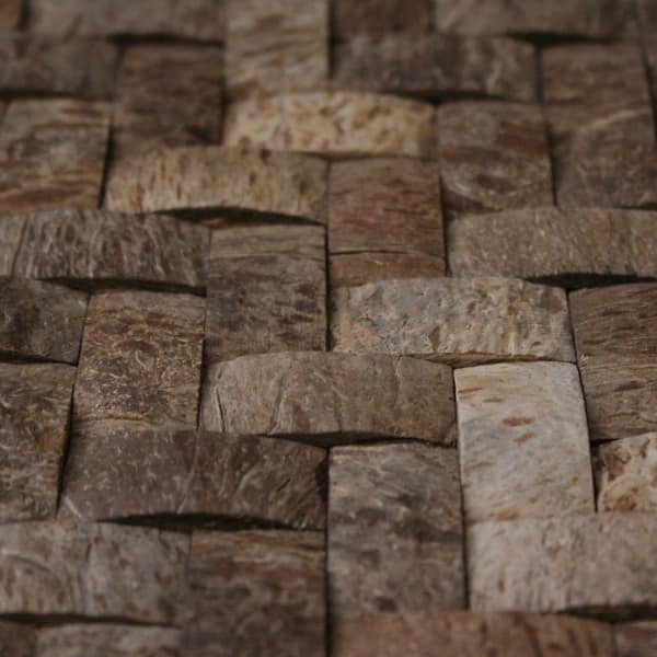 Natural Brown Convex Coconut Wall Tile - Bed Bath & Beyond - 8686300