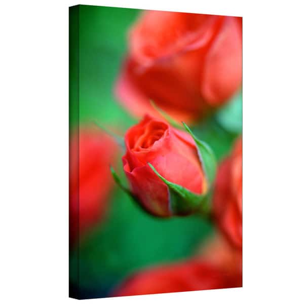 Kathy Yates 'Rosebud' Gallery-wrapped Canvas - Bed Bath & Beyond - 8689655