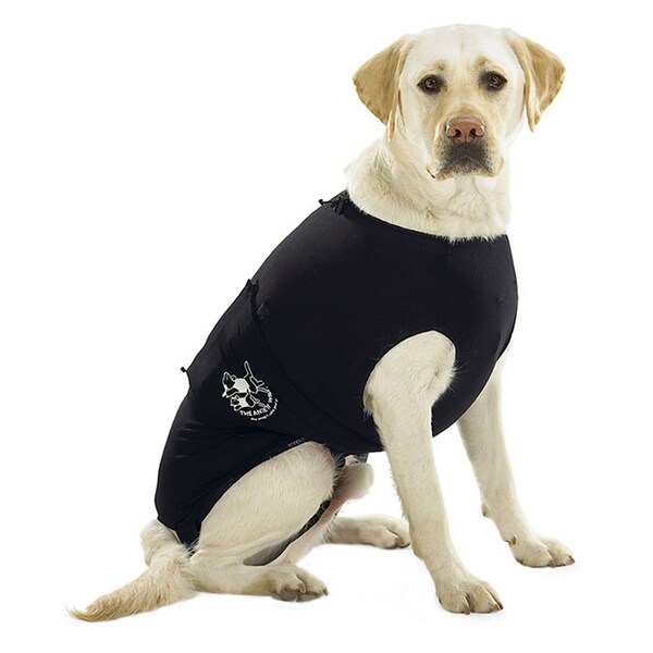Shop Anxiety Wrap For Dogs Free Shipping On Orders Over 45 