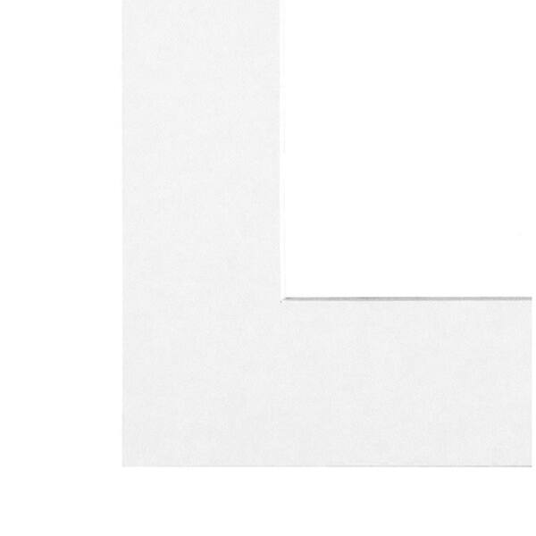 Gary Crandall 'Ghost of the Plains Buffalo' Framed Matted Art Print ...